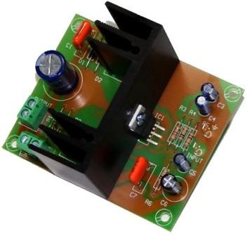 Cebek 15W Mono Audio Amplifier | E-4